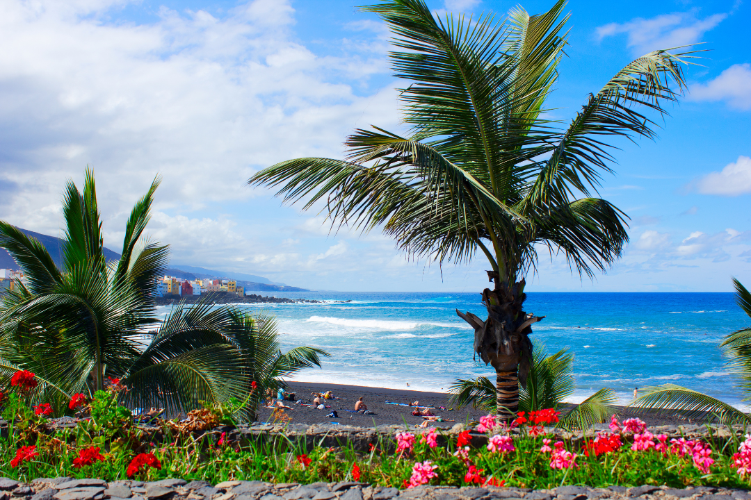 Spring getaways in Tenerife: March is the perfect month - Hotel AF ...